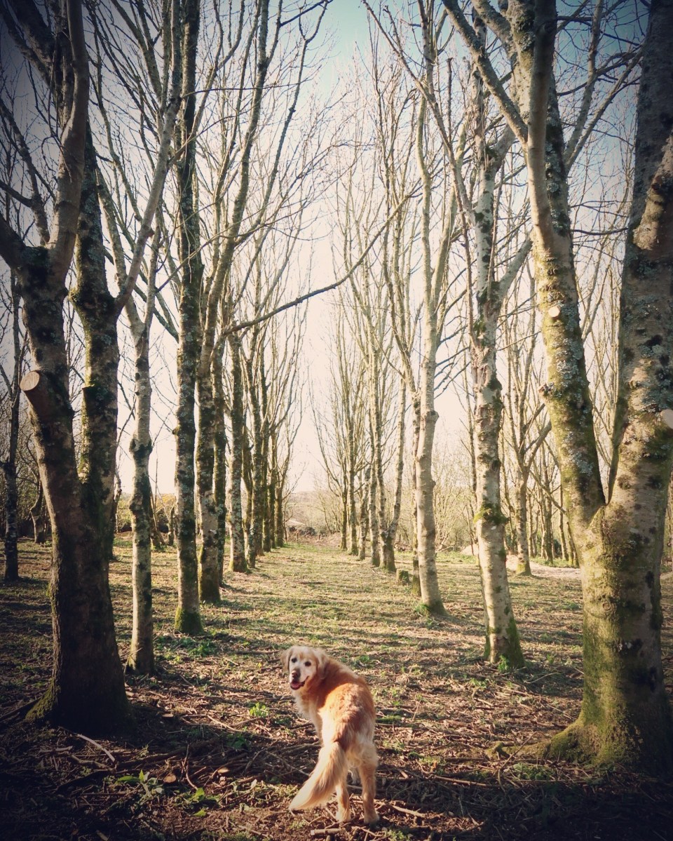 Two Years Of Change On The Farm – Simply Six Acres
